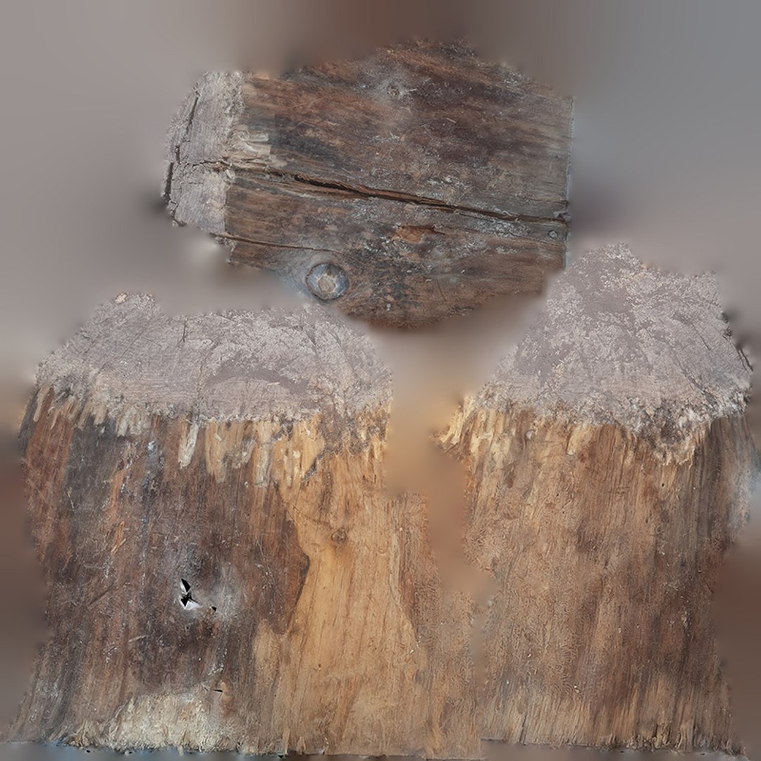 Tree Stump For Chopping Wood 3D - TurboSquid 1981888