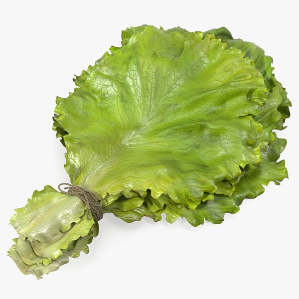 3D Lettuce Models | TurboSquid