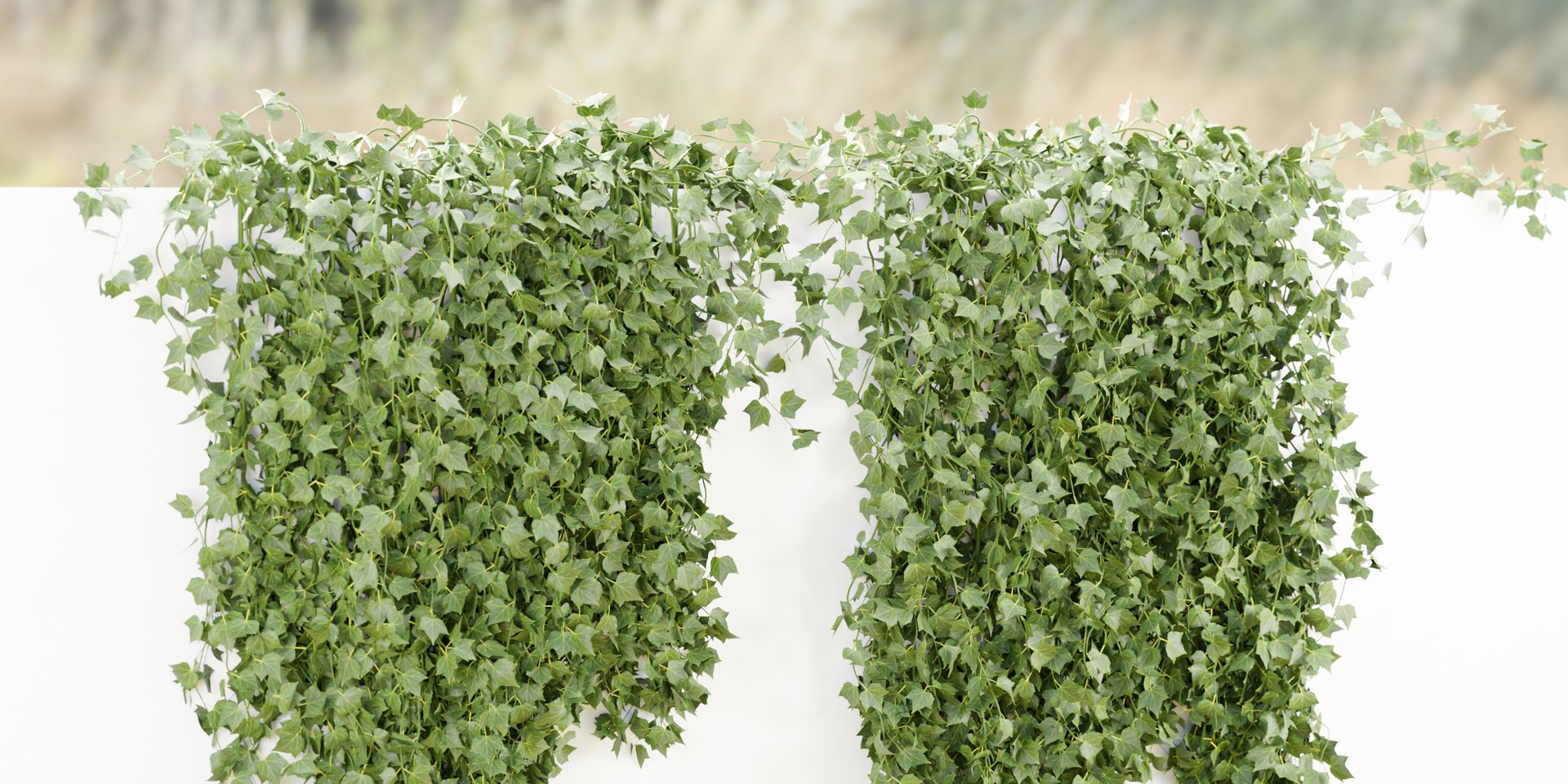 Hanging Ivy Collection Vol 49-Blender 3D Model - TurboSquid 2114326