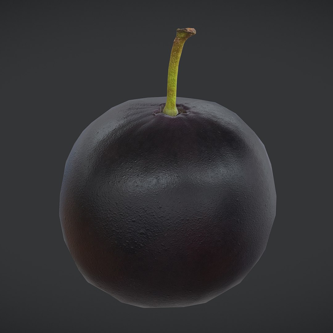 3D Fruit Jabuticaba Low Poly - TurboSquid 2371503