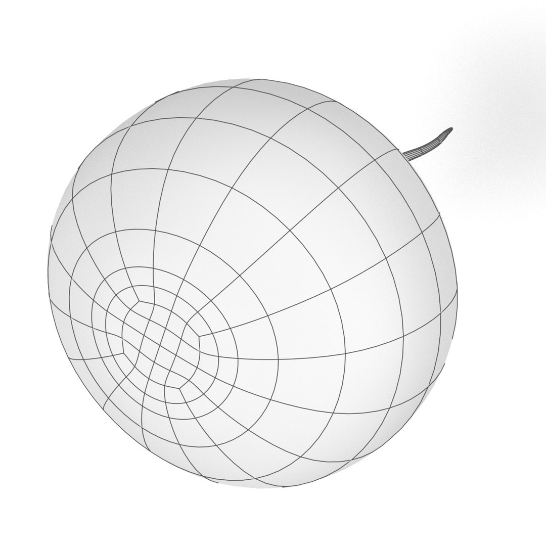 radish vegetable 3d model