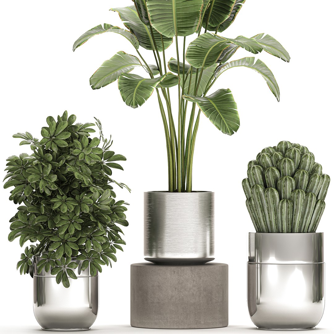 Ornamental Plants Chrome Flowerpots Model - TurboSquid 1662016