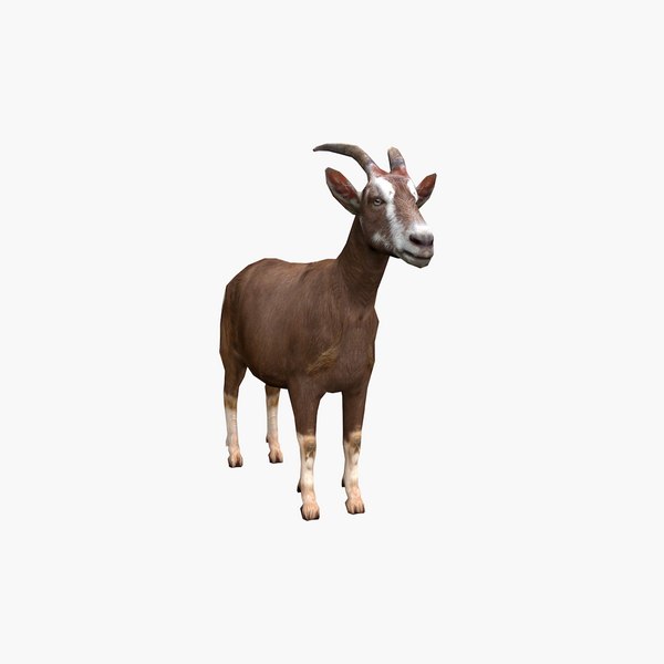 Goat 3D Models for Download | TurboSquid