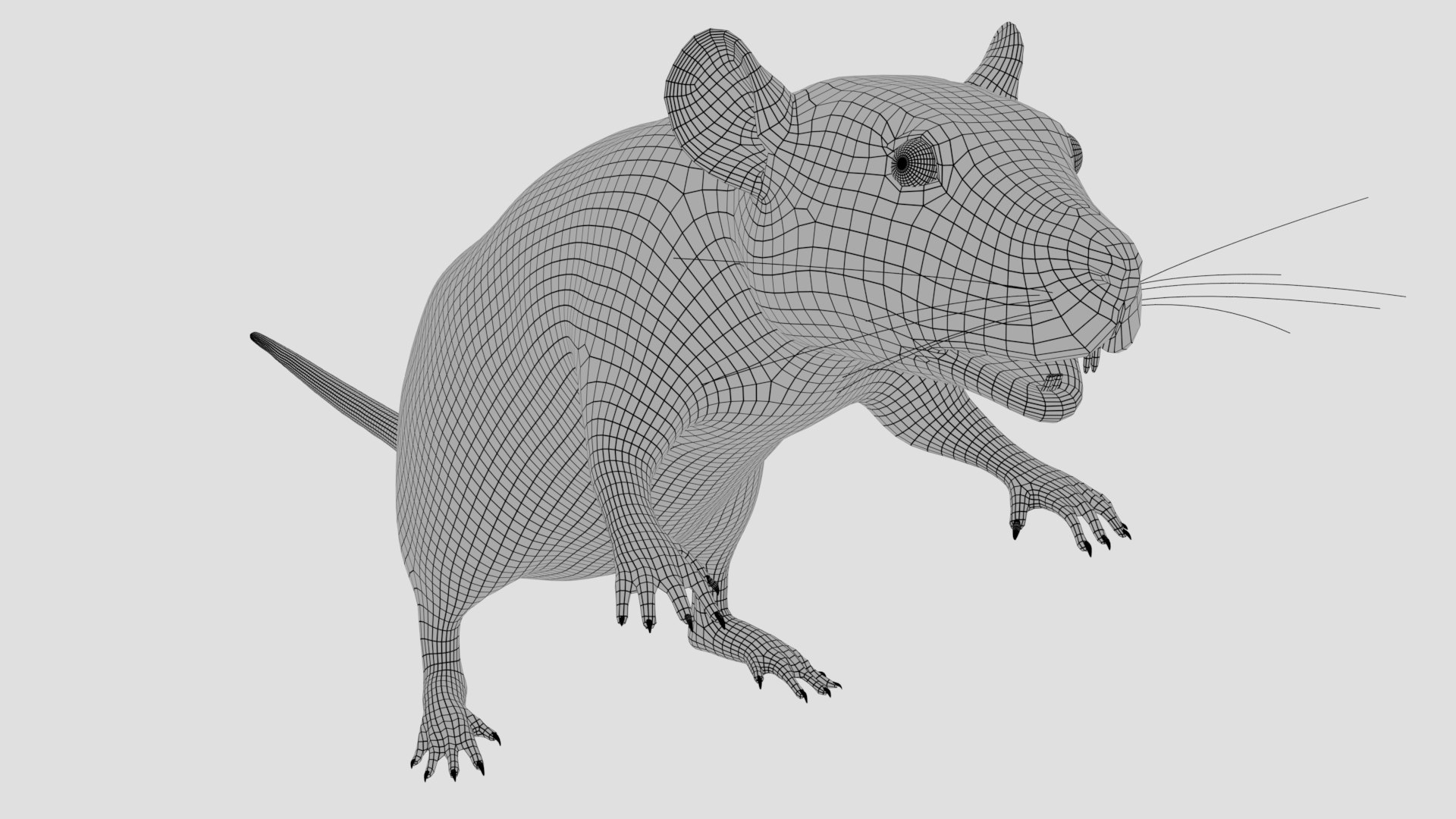3D RAT MODEL REALTIME Model - TurboSquid 1848322