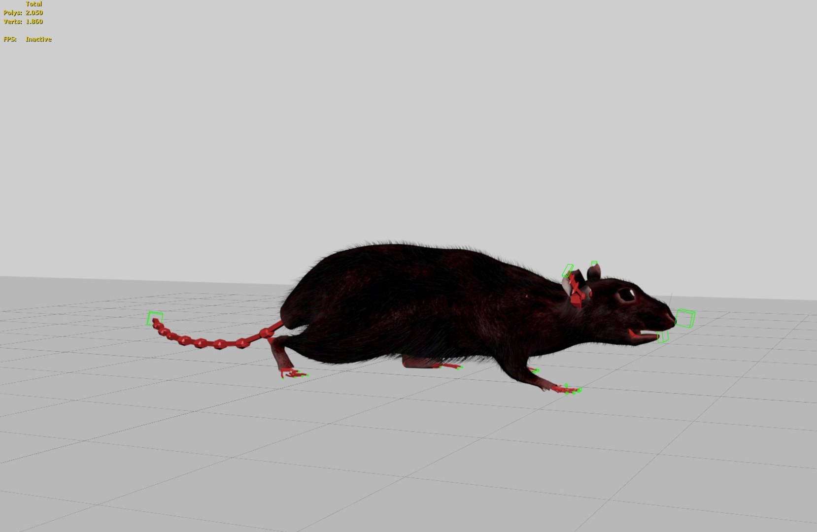 3D RAT MODEL REALTIME Model - TurboSquid 1848322
