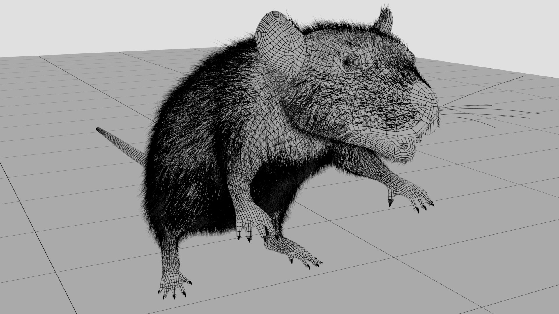 3D RAT MODEL REALTIME Model - TurboSquid 1848322