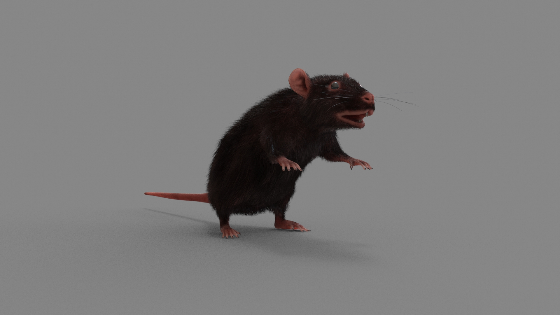 3D RAT MODEL REALTIME Model - TurboSquid 1848322