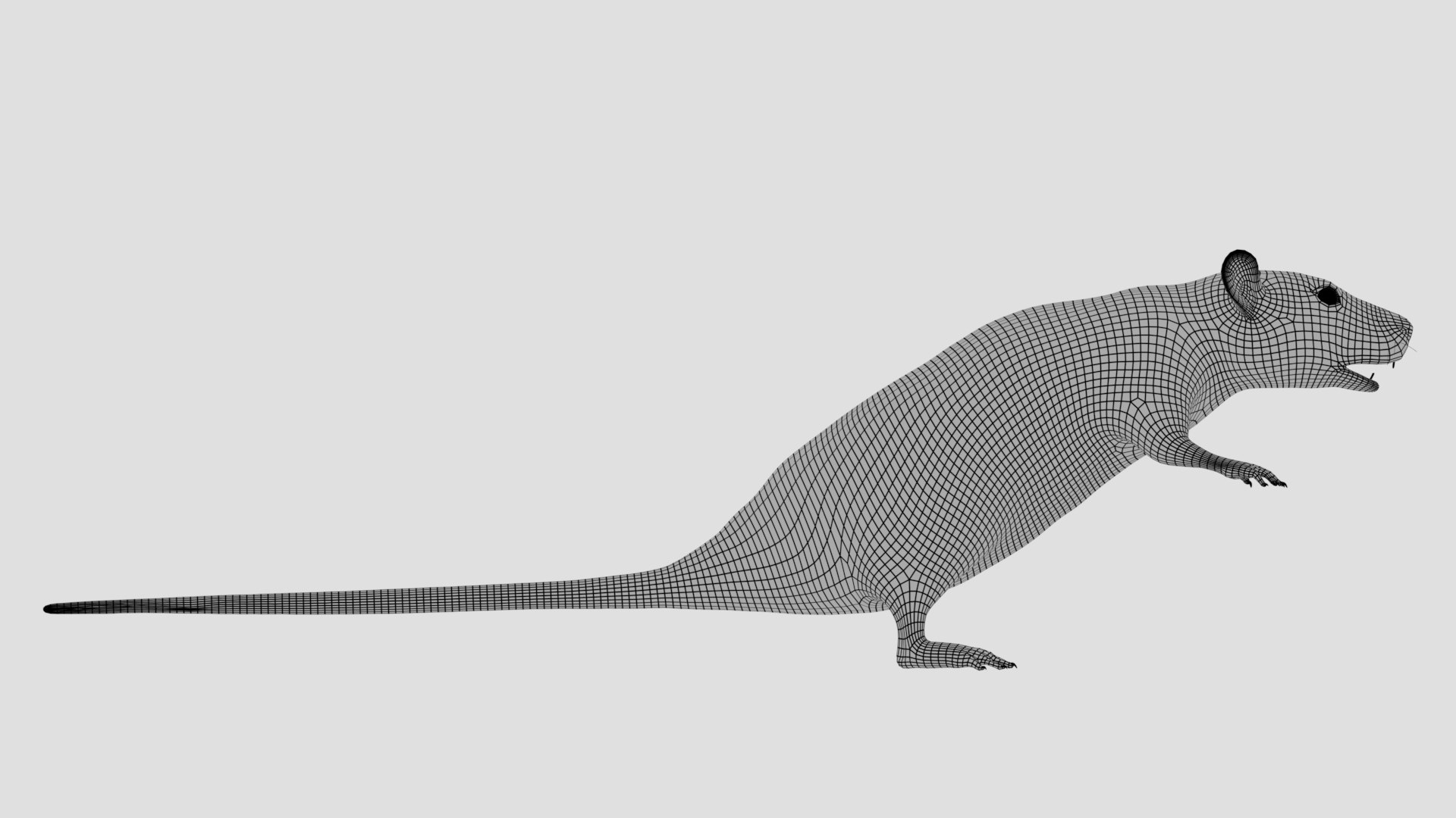 3D RAT MODEL REALTIME Model - TurboSquid 1848322