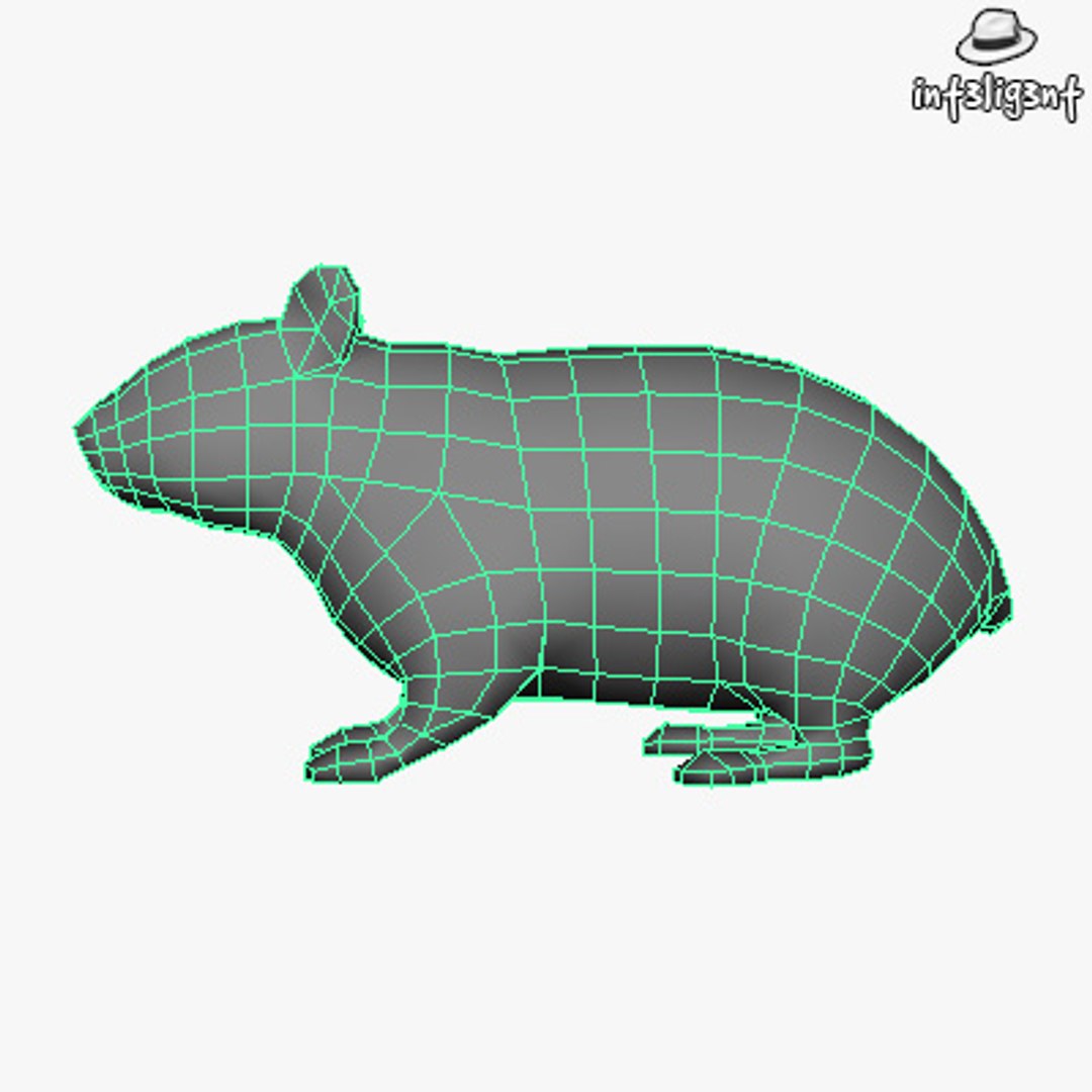 Edge Loop 3d Model