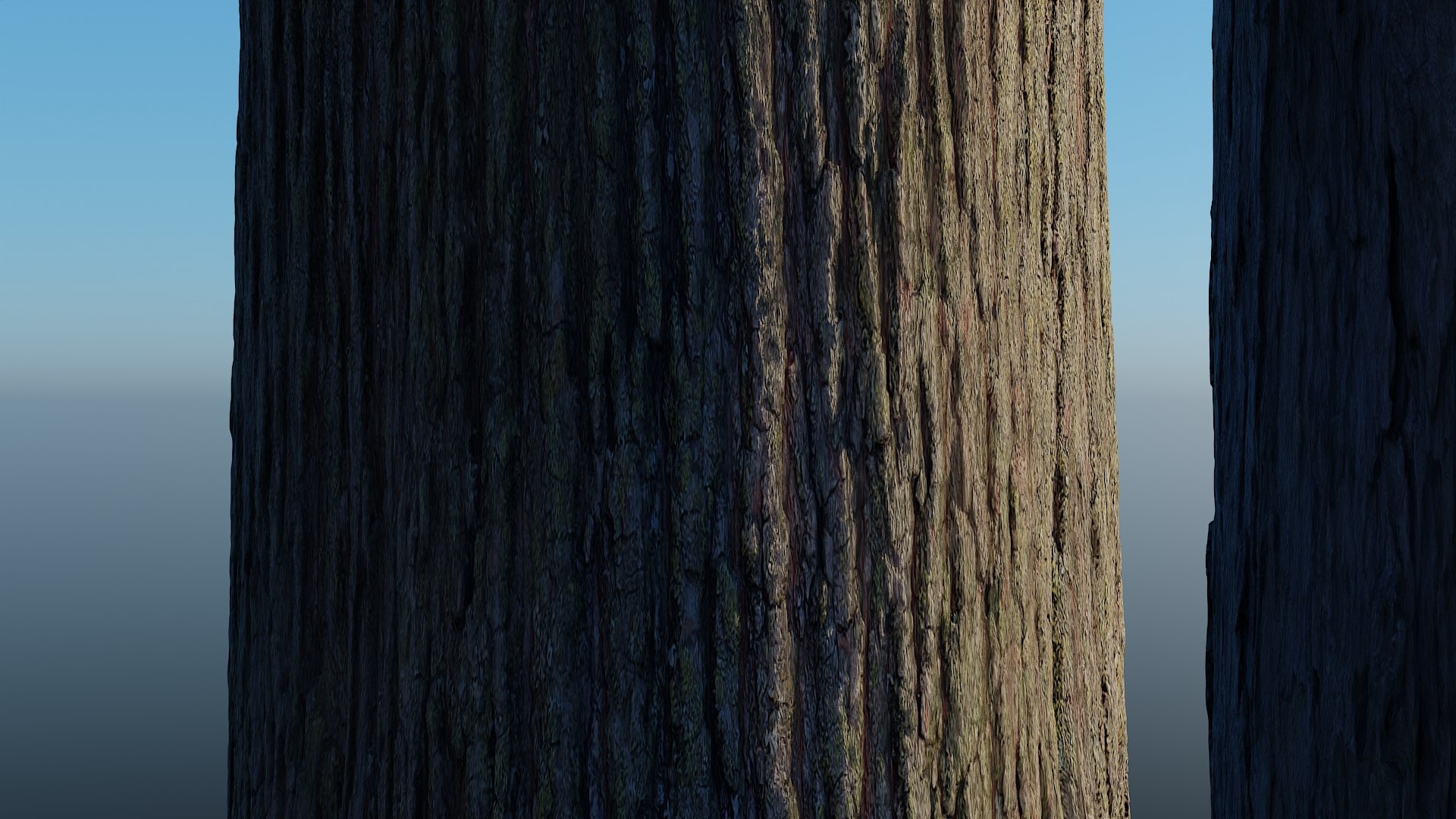 3D HD Seamless Bark Pack Of 5 - With 16 Bit Height Maps Model ...