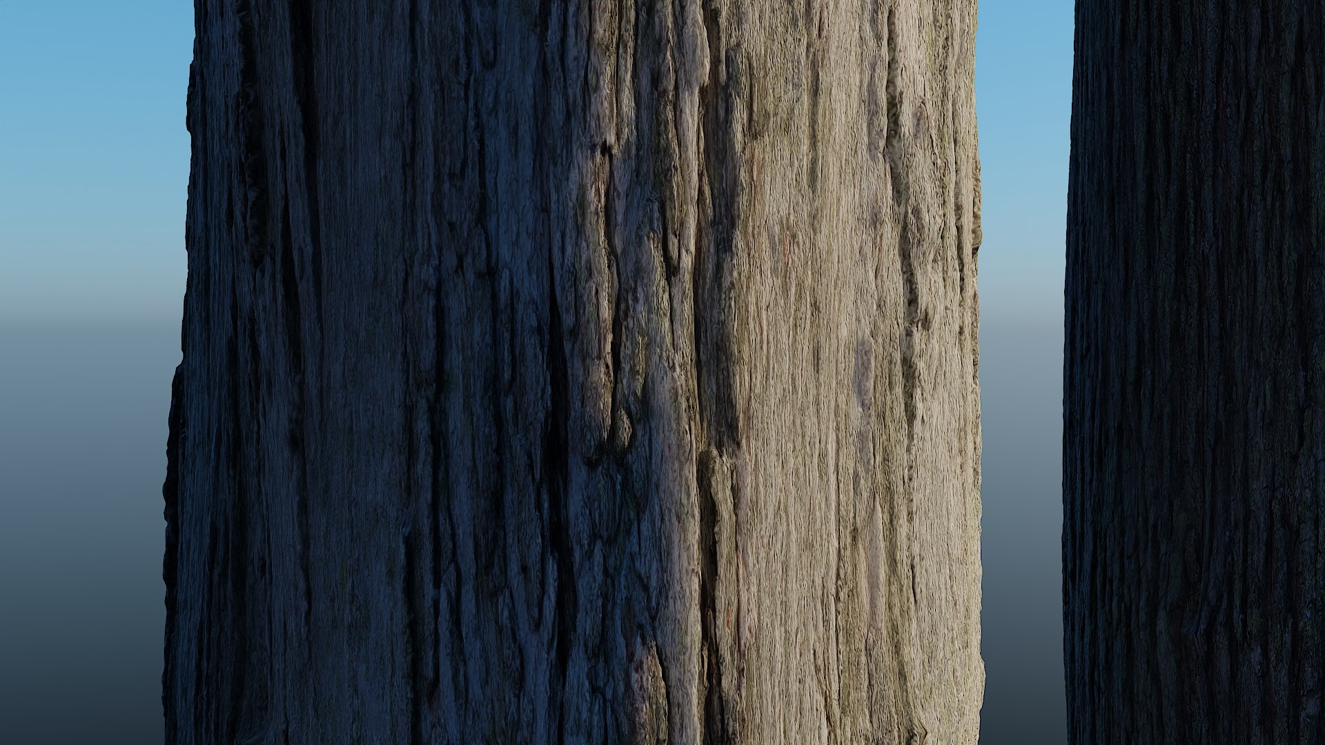 3D HD Seamless Bark Pack Of 5 - With 16 Bit Height Maps Model ...