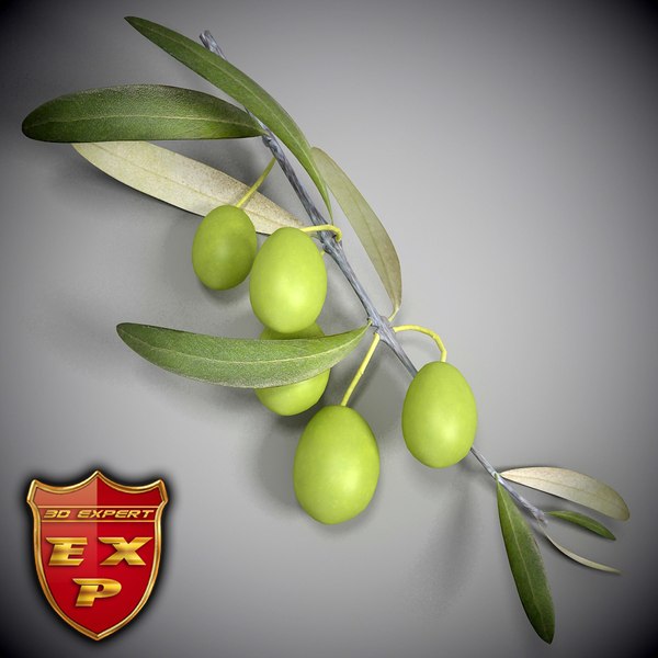 Olive 3D Models for Download | TurboSquid