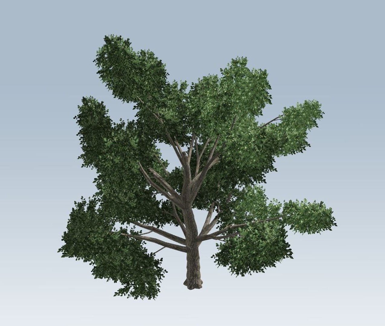 3D Model Tree Environment Branches - TurboSquid 1321541