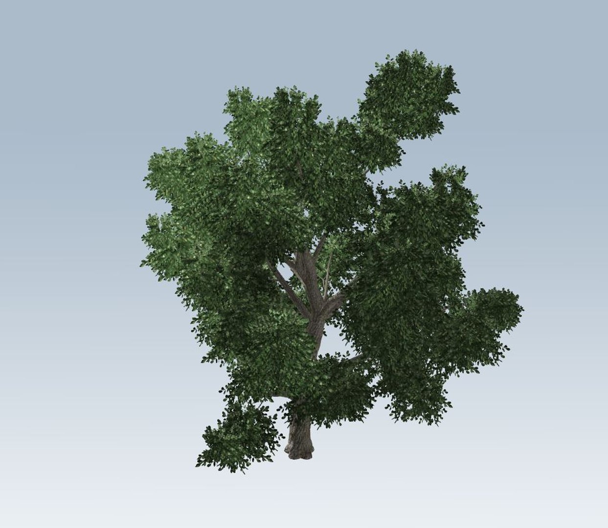 3D Model Tree Environment Branches - TurboSquid 1321541