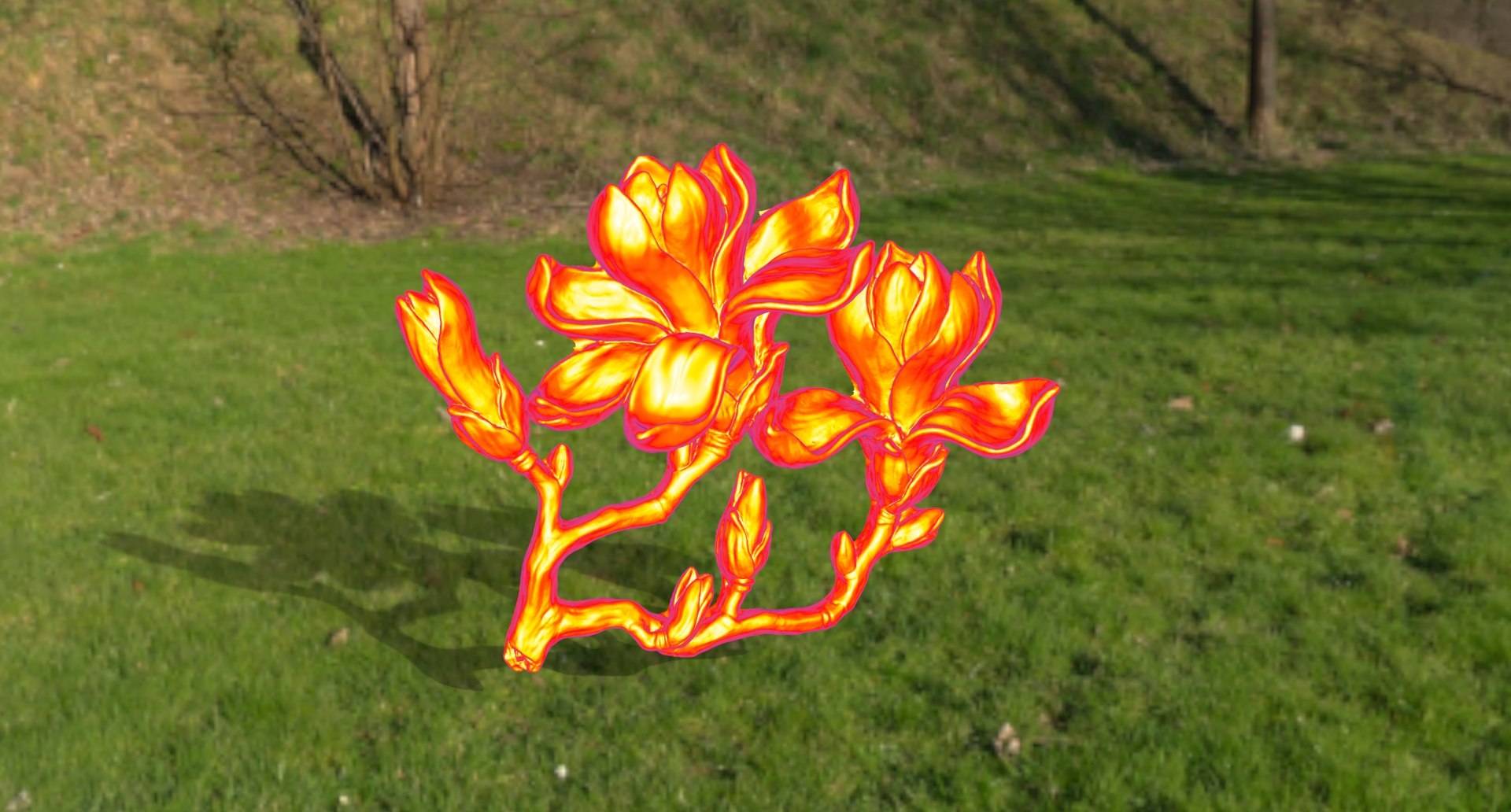 Magnolia flower 3D model - TurboSquid 1515919