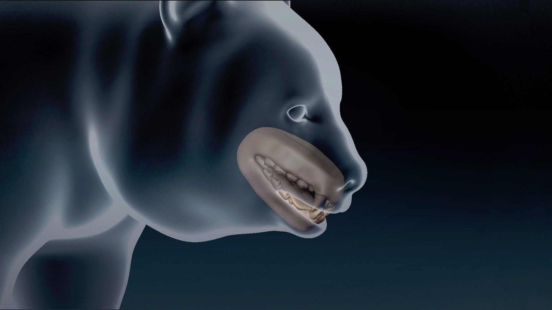 3D Giant Panda Base Mesh 3D Model - TurboSquid 1823069