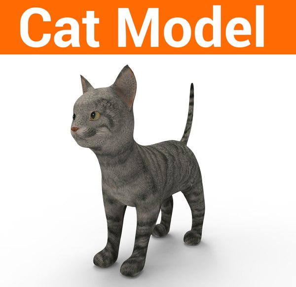 Cat 3D Models for Download | TurboSquid