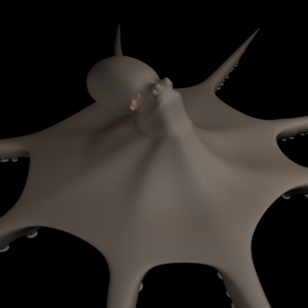 3d Octopus Model