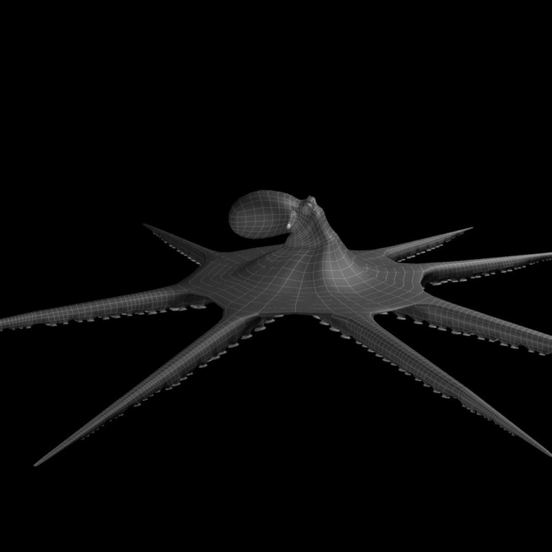 3d Octopus Model