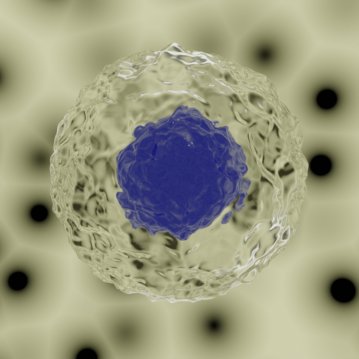 Cell nucleated model - TurboSquid 1670859