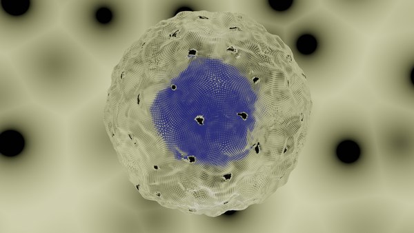 Cell nucleated model - TurboSquid 1670859