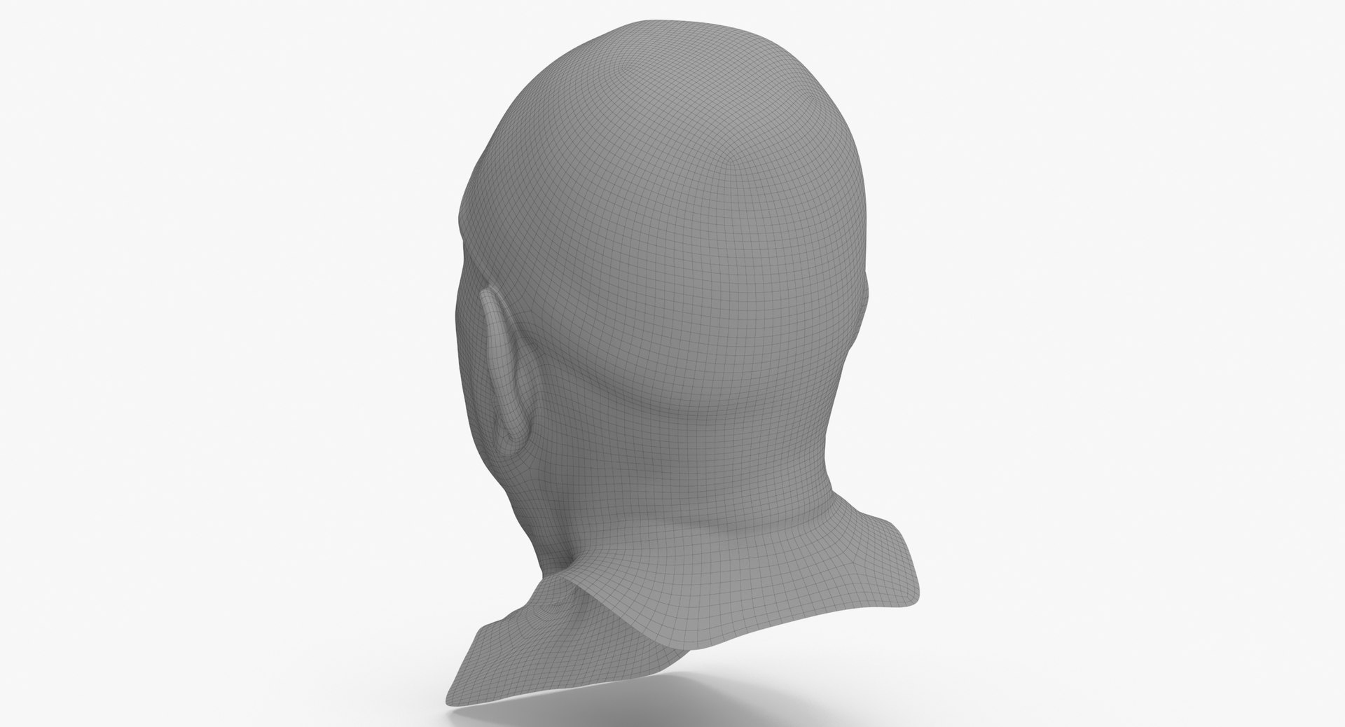 3D model Homer Human Head Jaw Thrust AU29 Clean Scan - TurboSquid 1748772