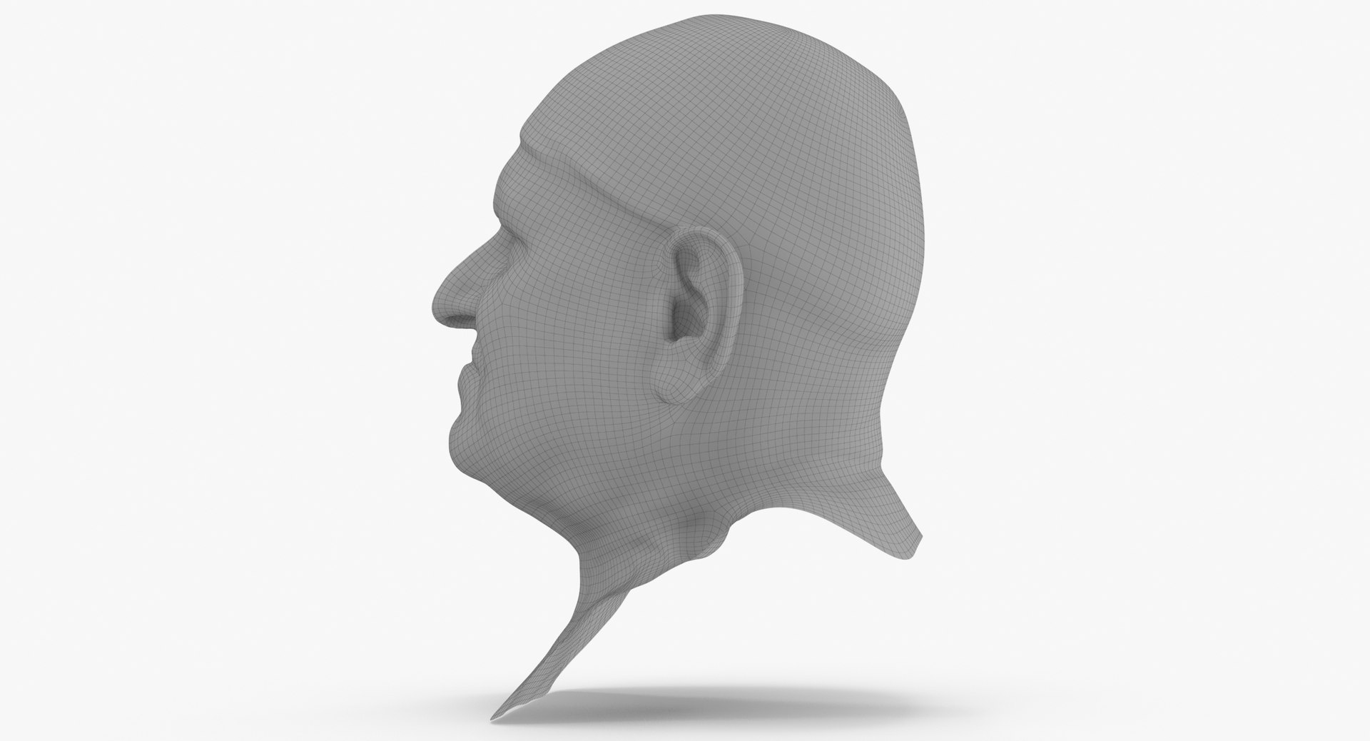 3D model Homer Human Head Jaw Thrust AU29 Clean Scan - TurboSquid 1748772