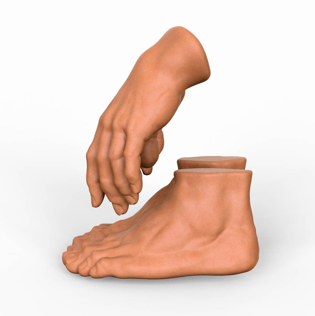 3D Hand Foot Combo Model - TurboSquid 1378597