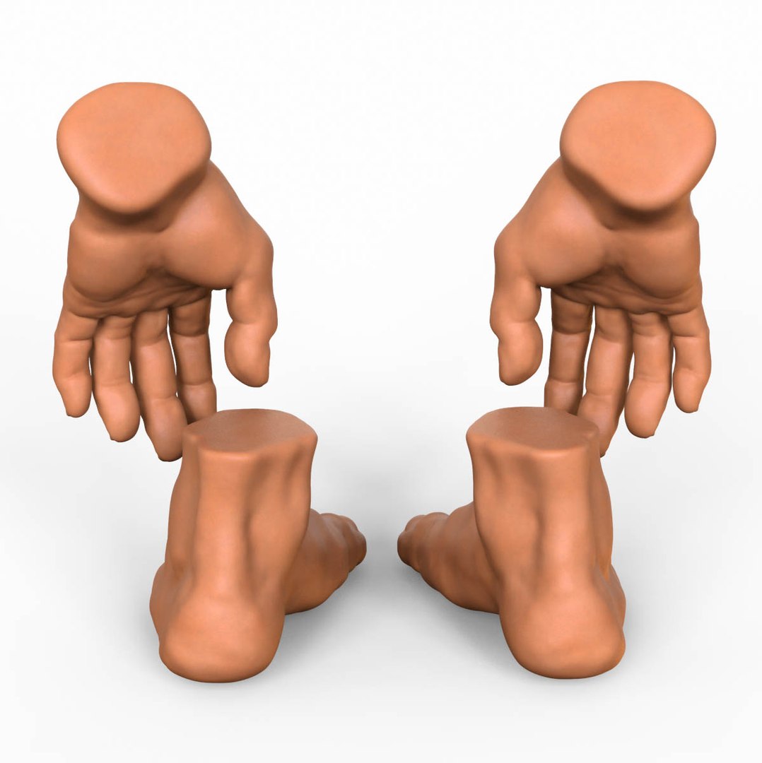 3D Hand Foot Combo Model - TurboSquid 1378597