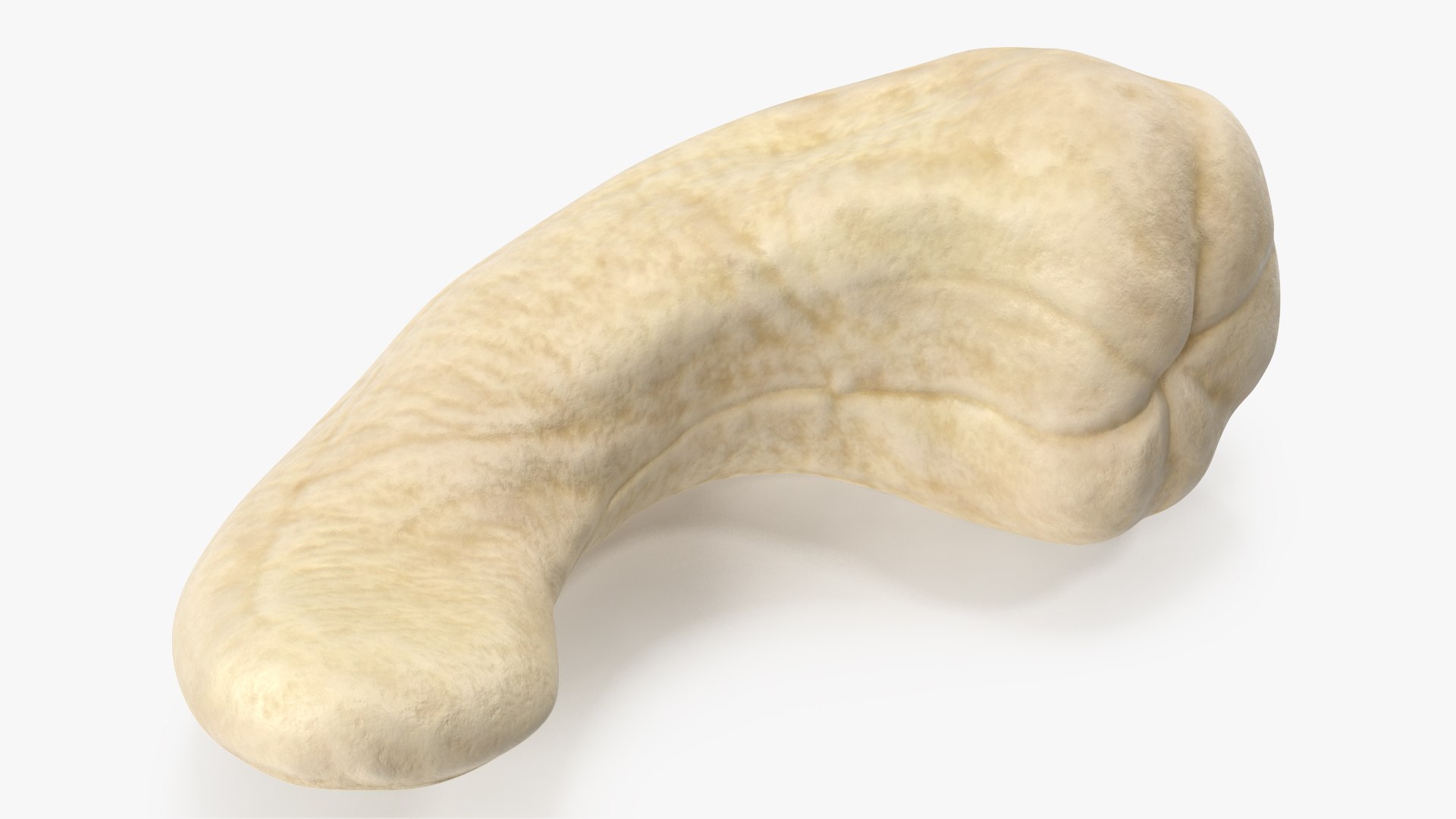 Cashew 2 3D - TurboSquid 2166801