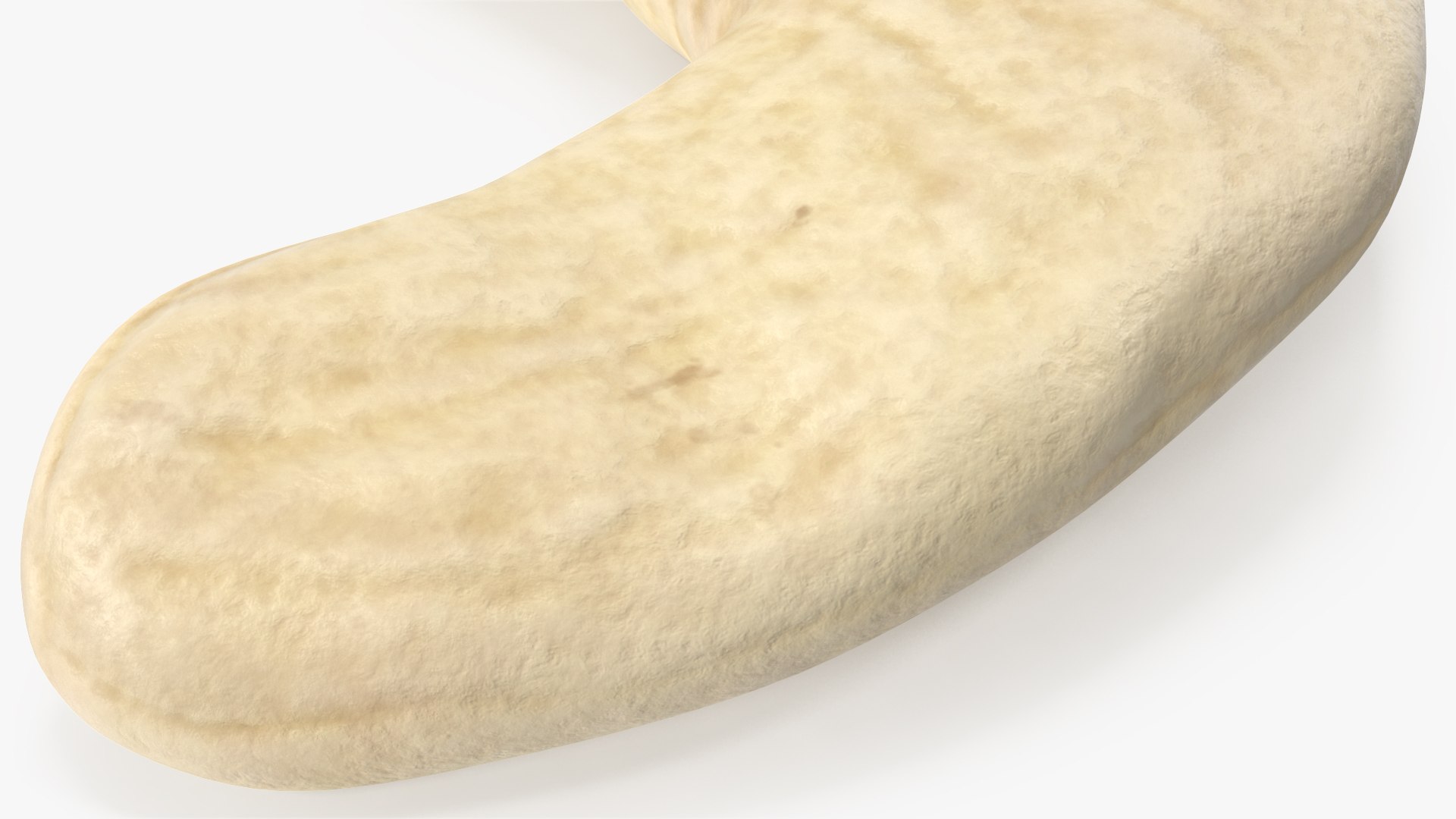 Cashew 2 3D - TurboSquid 2166801