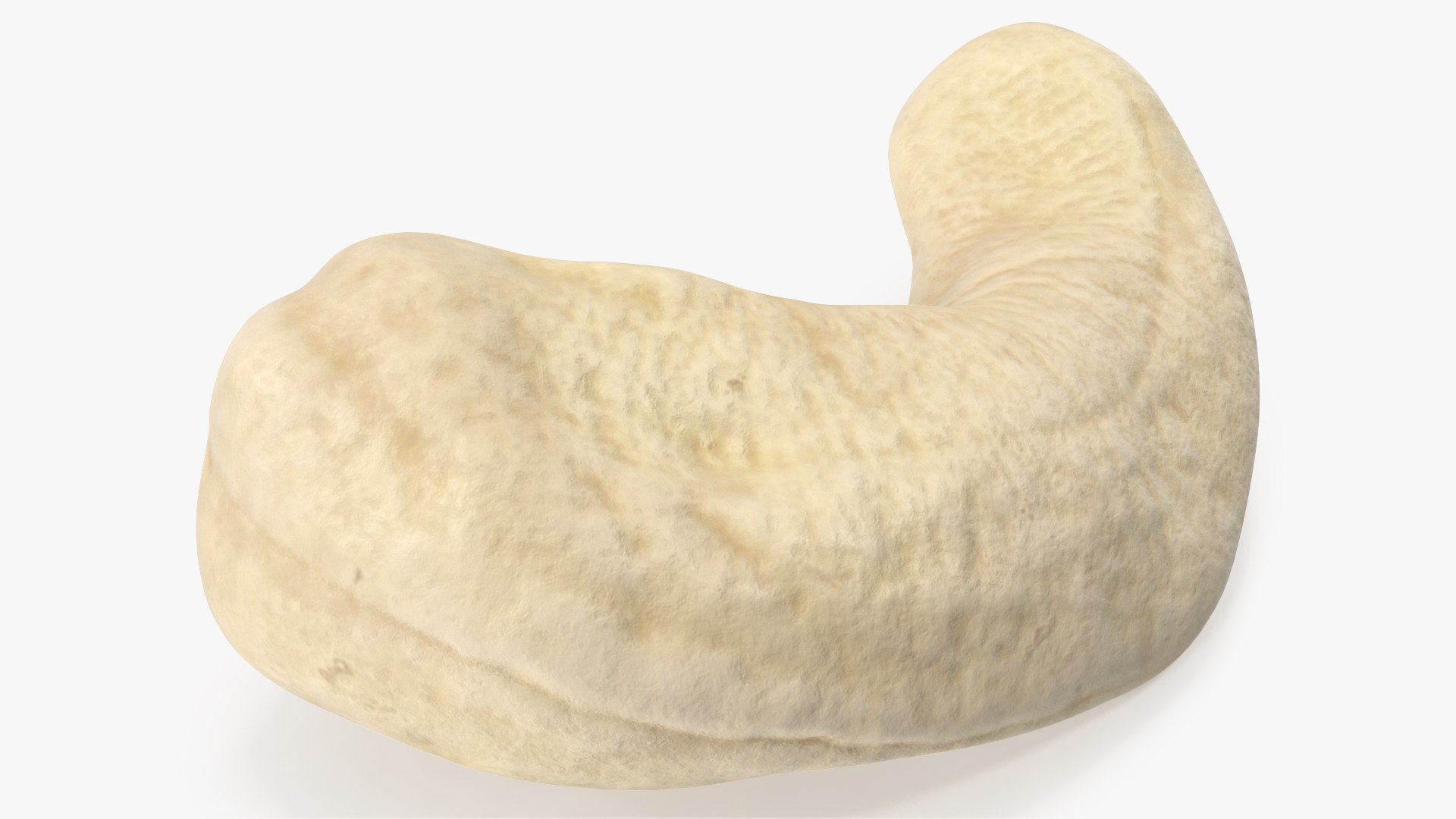Cashew 2 3D - TurboSquid 2166801