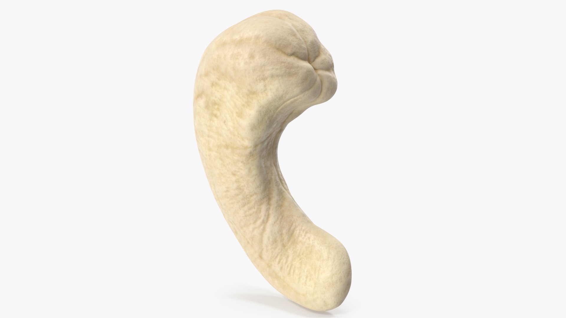 Cashew 2 3D - TurboSquid 2166801