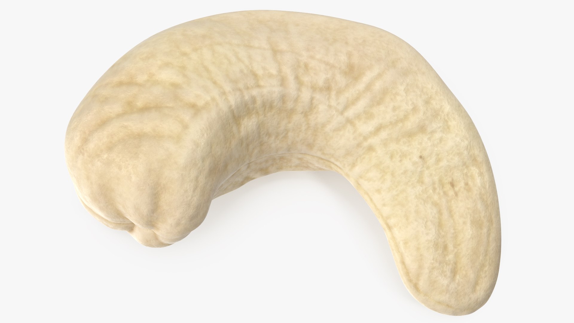 Cashew 2 3D - TurboSquid 2166801