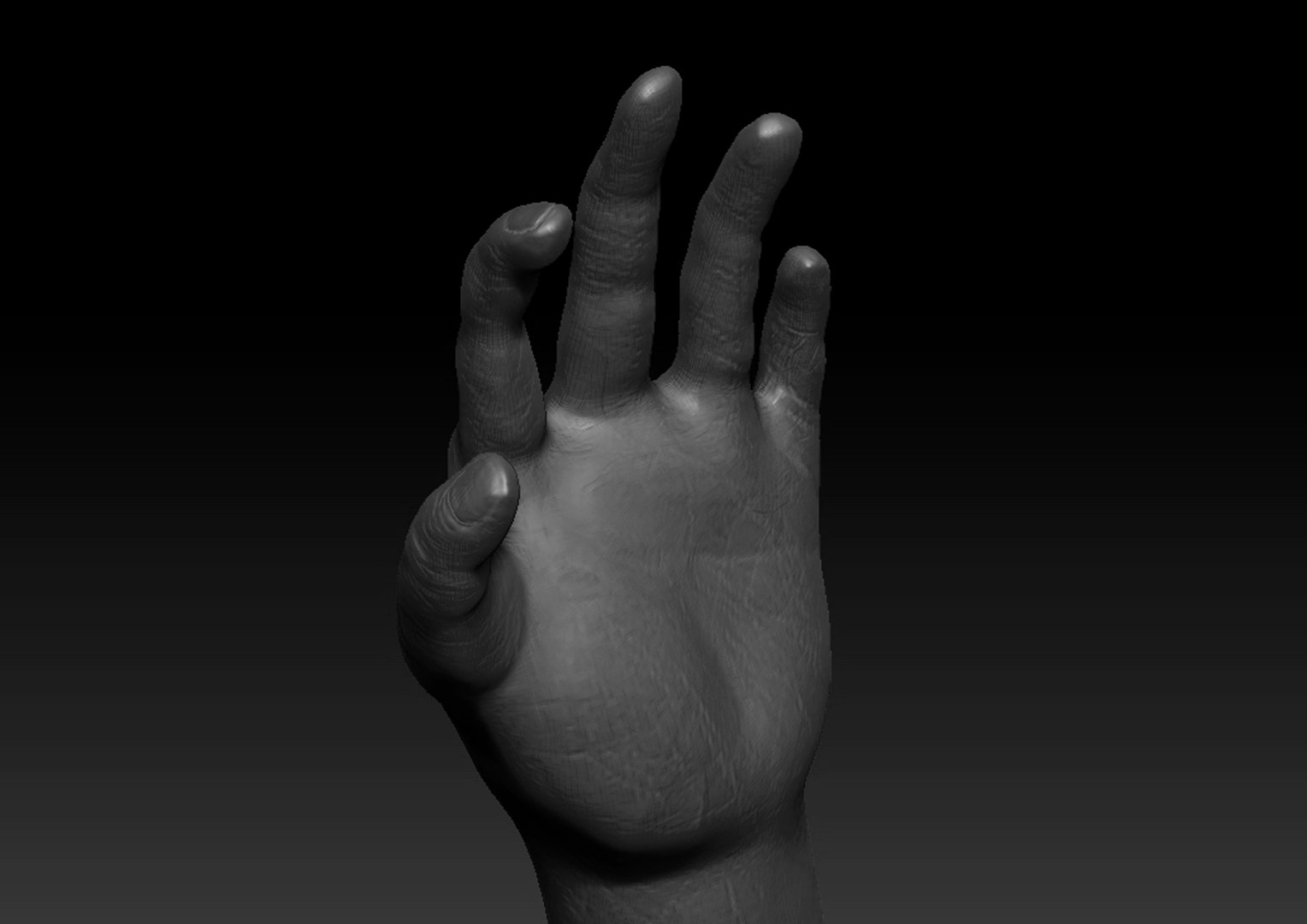 Hand Model - TurboSquid 1336963