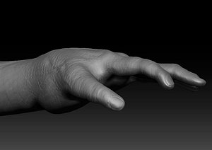 Hand Rhino Models for Download | TurboSquid