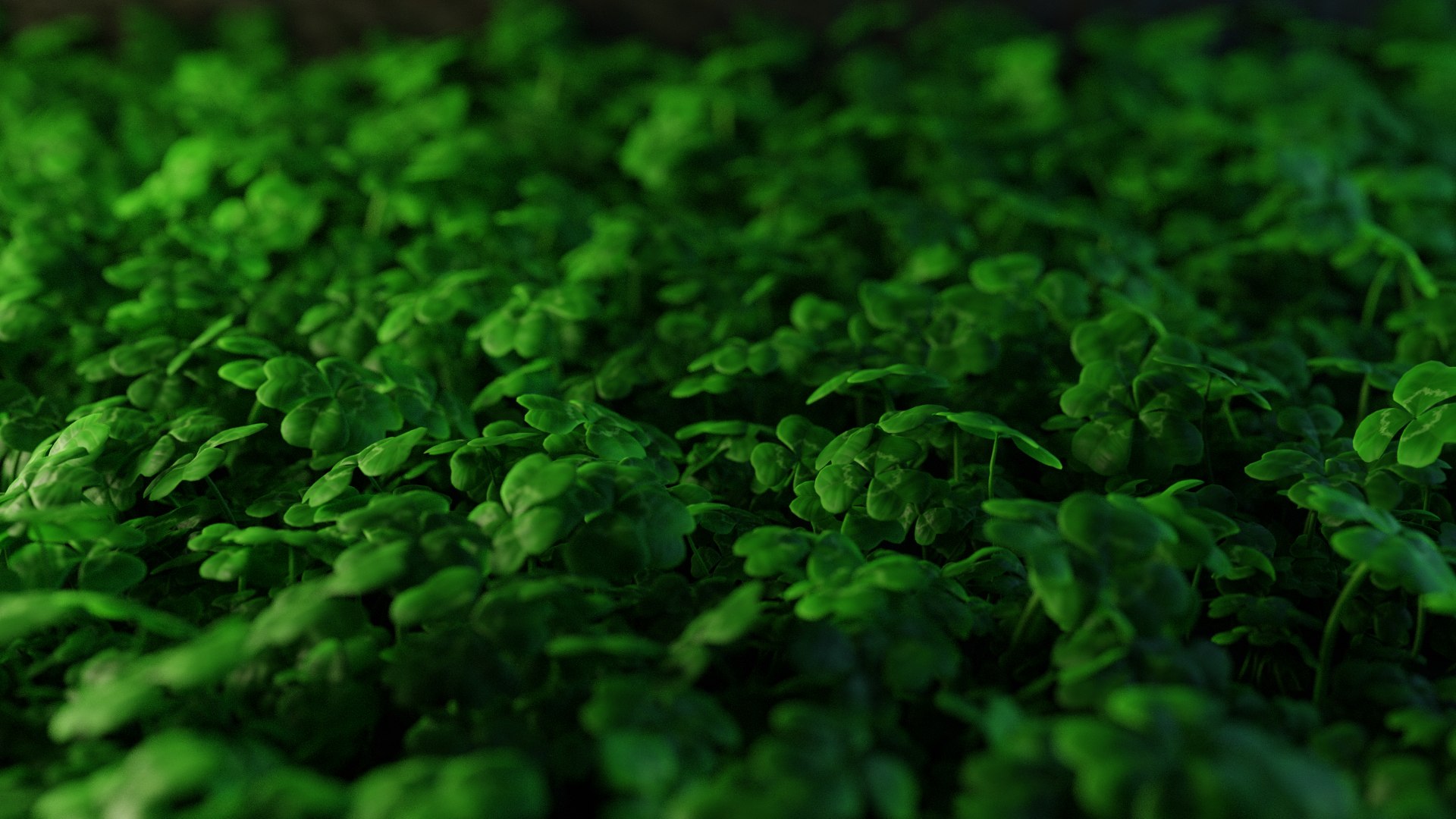 Clover Plant 3D Model - TurboSquid 2103077