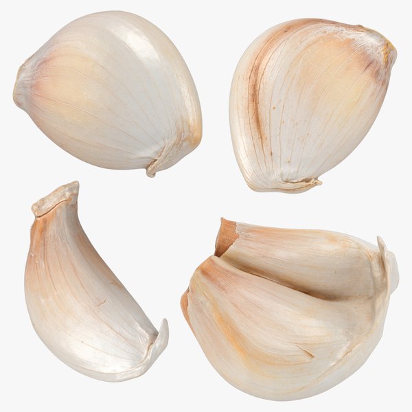 3D Garlic Models | TurboSquid