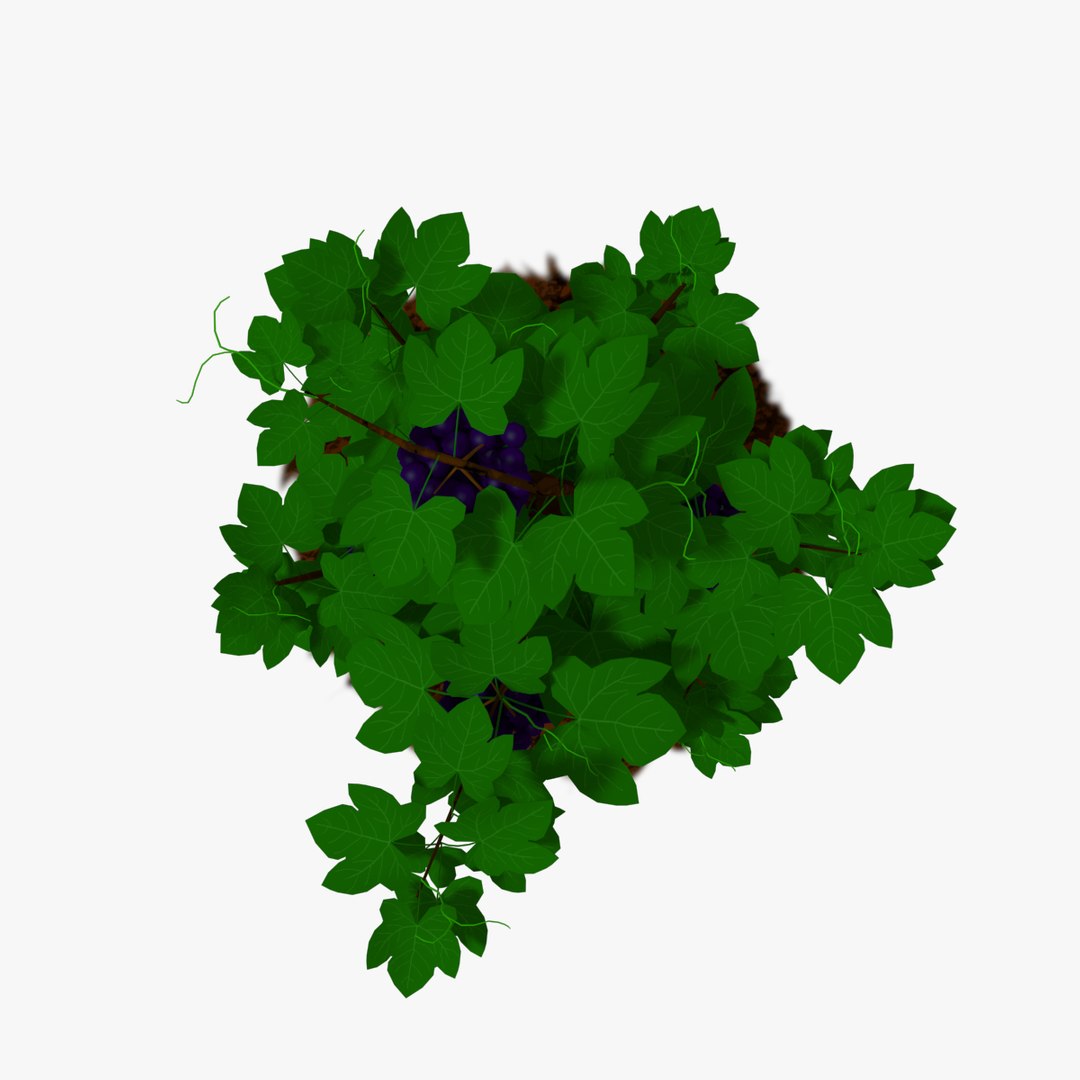 3D Model Cartoon Plants | 1144104 | TurboSquid