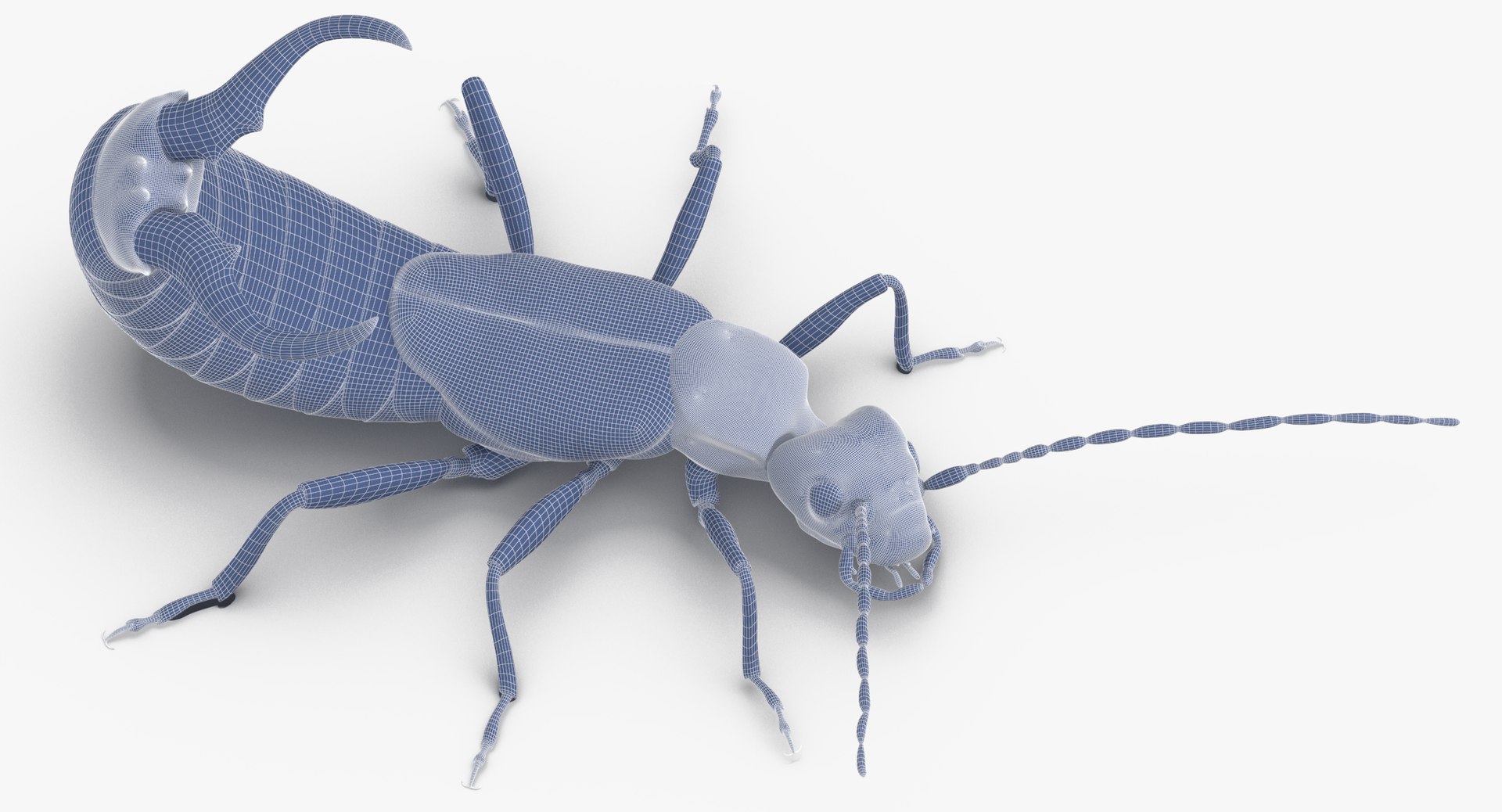 3D Earwig Attacking - TurboSquid 1375545