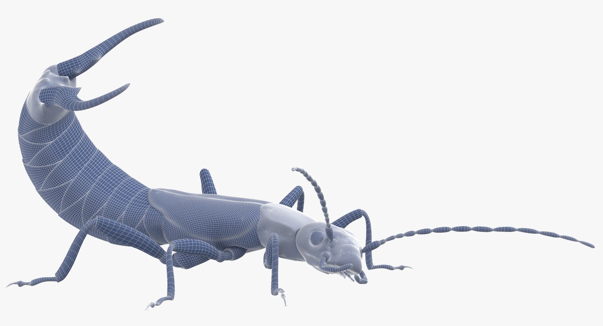 3D Earwig Attacking - TurboSquid 1375545