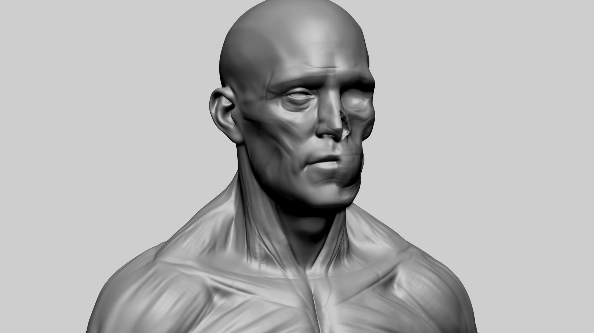 3D Male Anatomy E - TurboSquid 2198817