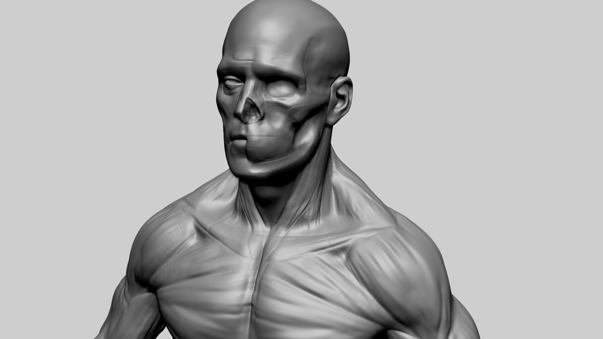 3D Male Anatomy E - TurboSquid 2198817