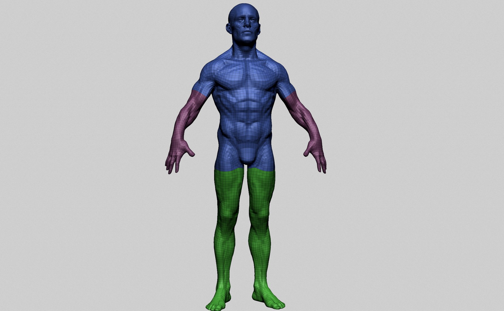 3D Male Anatomy E - TurboSquid 2198817