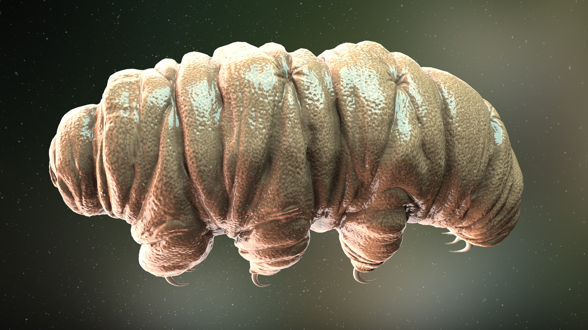 3D Tardigrade Ultra Realistic - TurboSquid 2079261