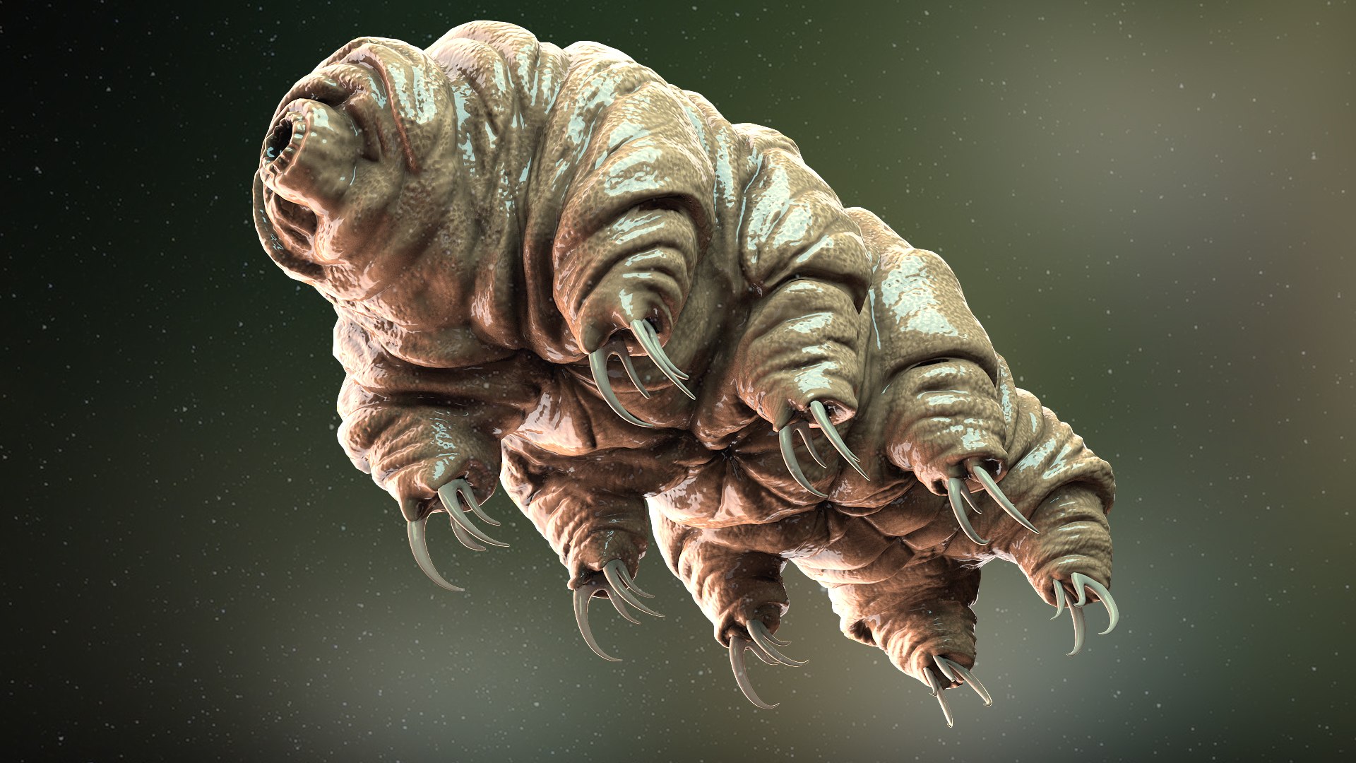 3D Tardigrade Ultra Realistic - TurboSquid 2079261