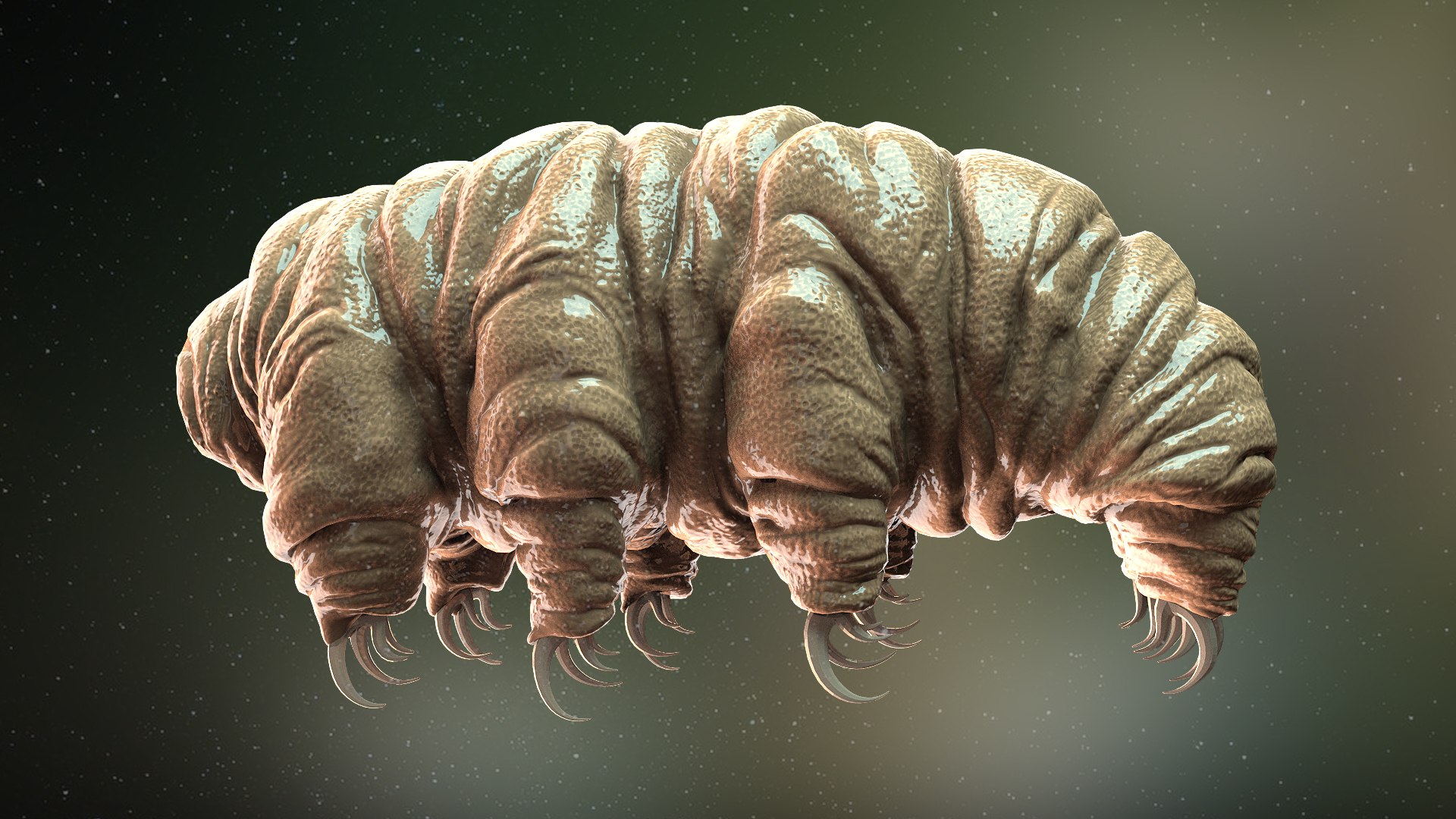 3D Tardigrade Ultra Realistic - TurboSquid 2079261