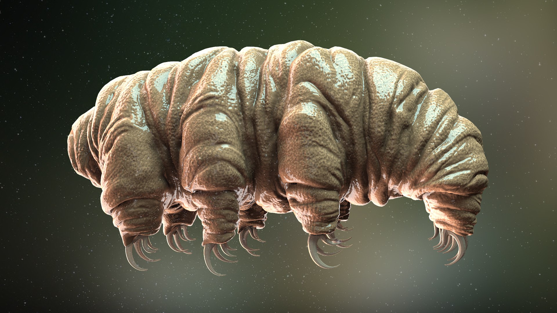 3D Tardigrade Ultra Realistic - TurboSquid 2079261