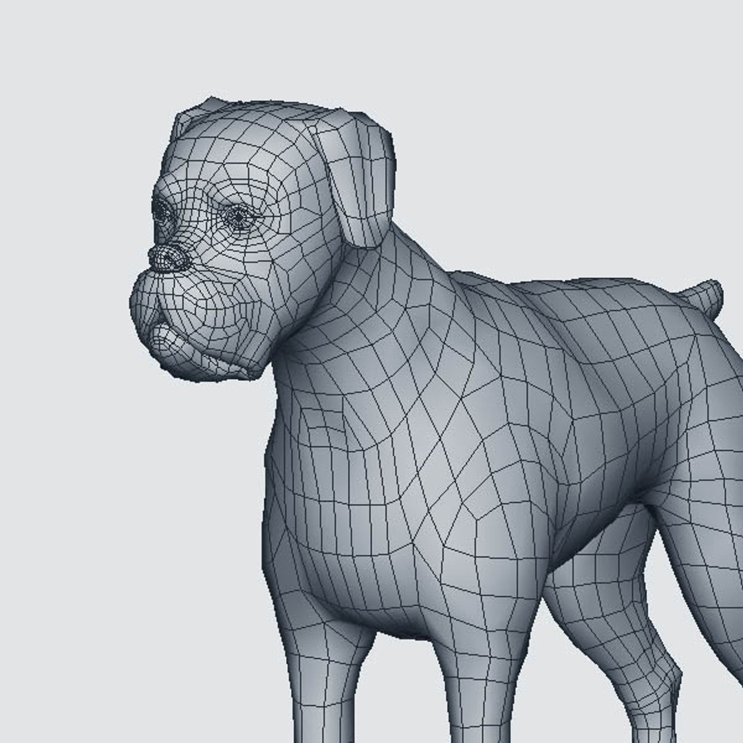 3d Model Boxer Dog
