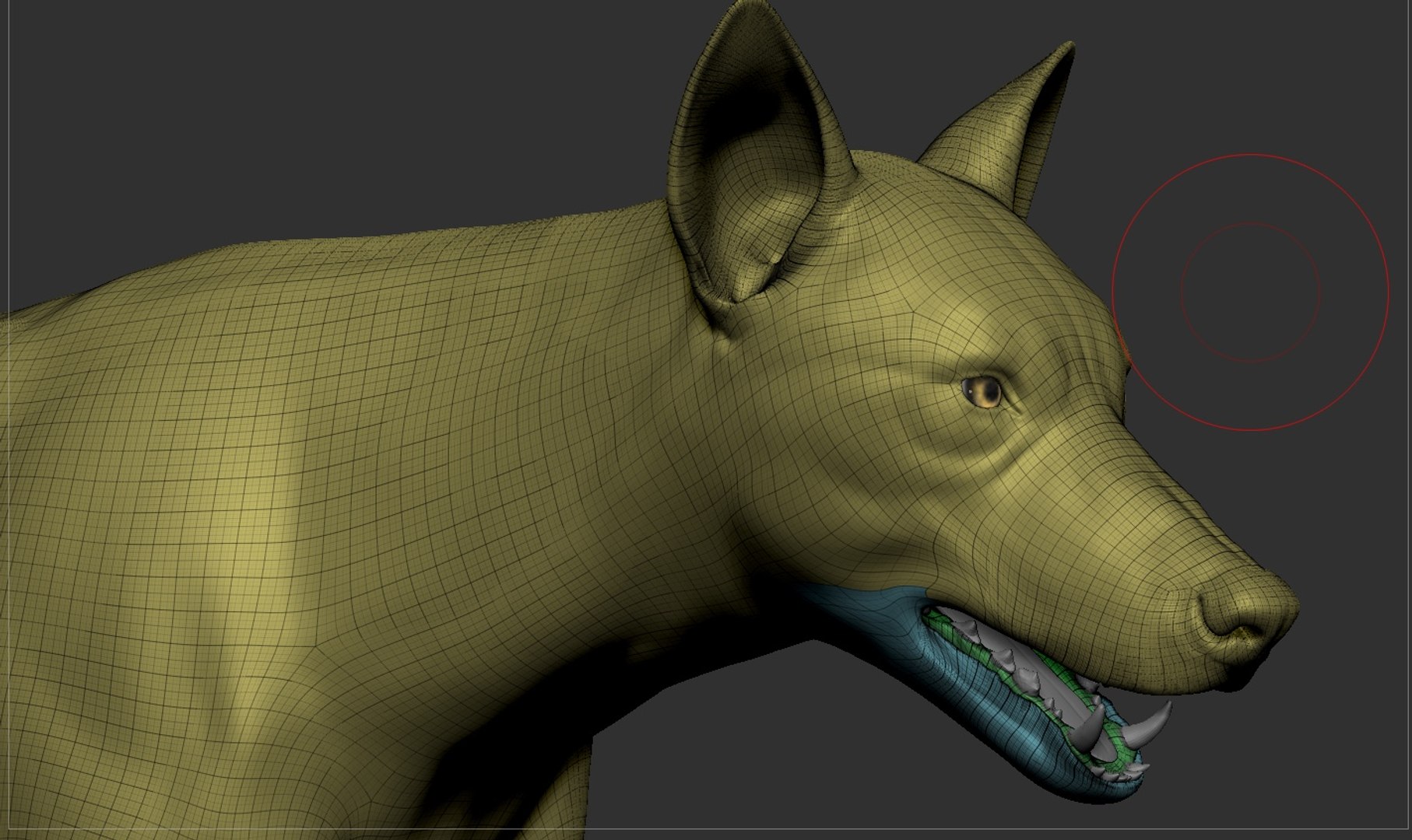 Wolf 3D Model - TurboSquid 1445791